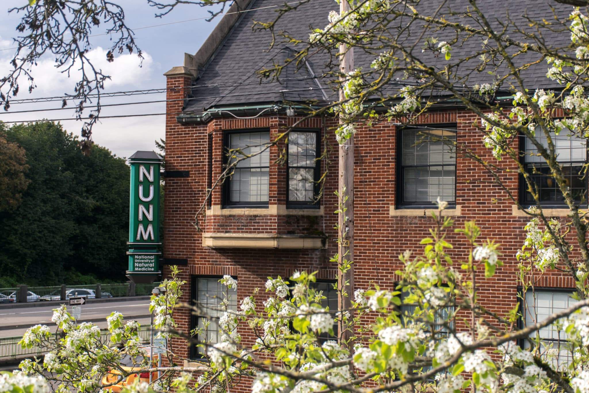 Naturopathic Medicine at NUNM: The Best of Both Worlds | AANMC