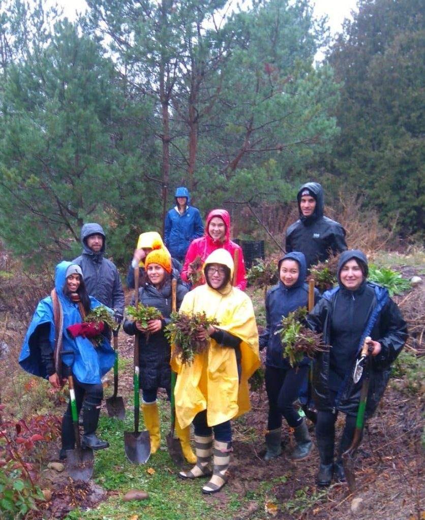 Dr. Chris Pickrell - CCNM | AANMC