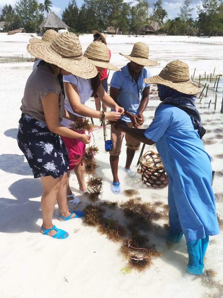 NUNM in a Complex and Changing World | AANMC