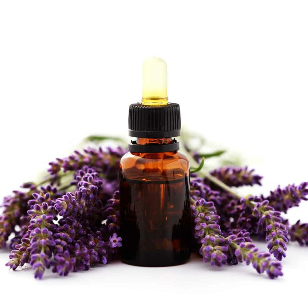 Holistic Medicine: The What and The Why