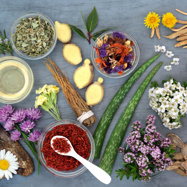 The Six Principles of Naturopathic Medicine | AANMC